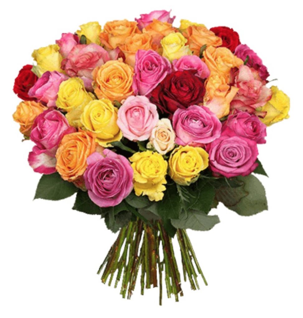 Strauß mit 45 bunten Rosen (50cm Stiellänge) für nur 24,98 Euro inkl ...
